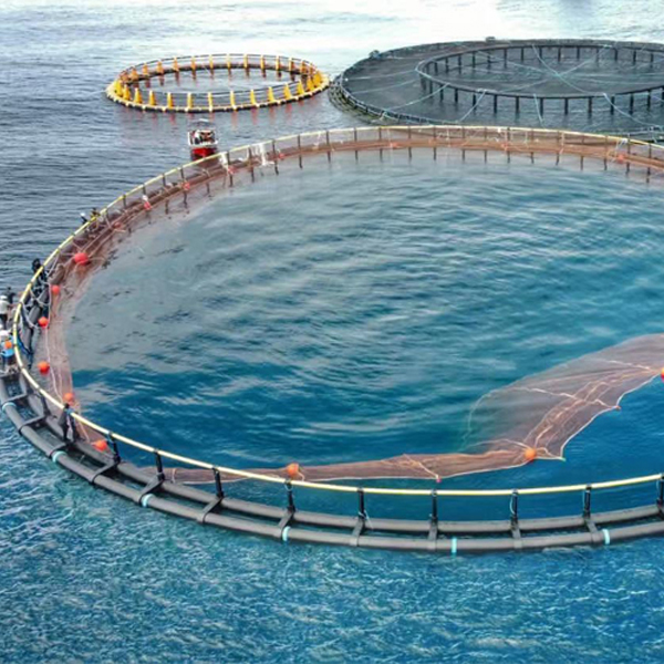 Aquaculture Fish Cage - Qingdao Waysail Ocean Technology Co., Ltd
