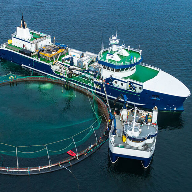 China barges for fish farming manufacturers, barges for fish farming ...